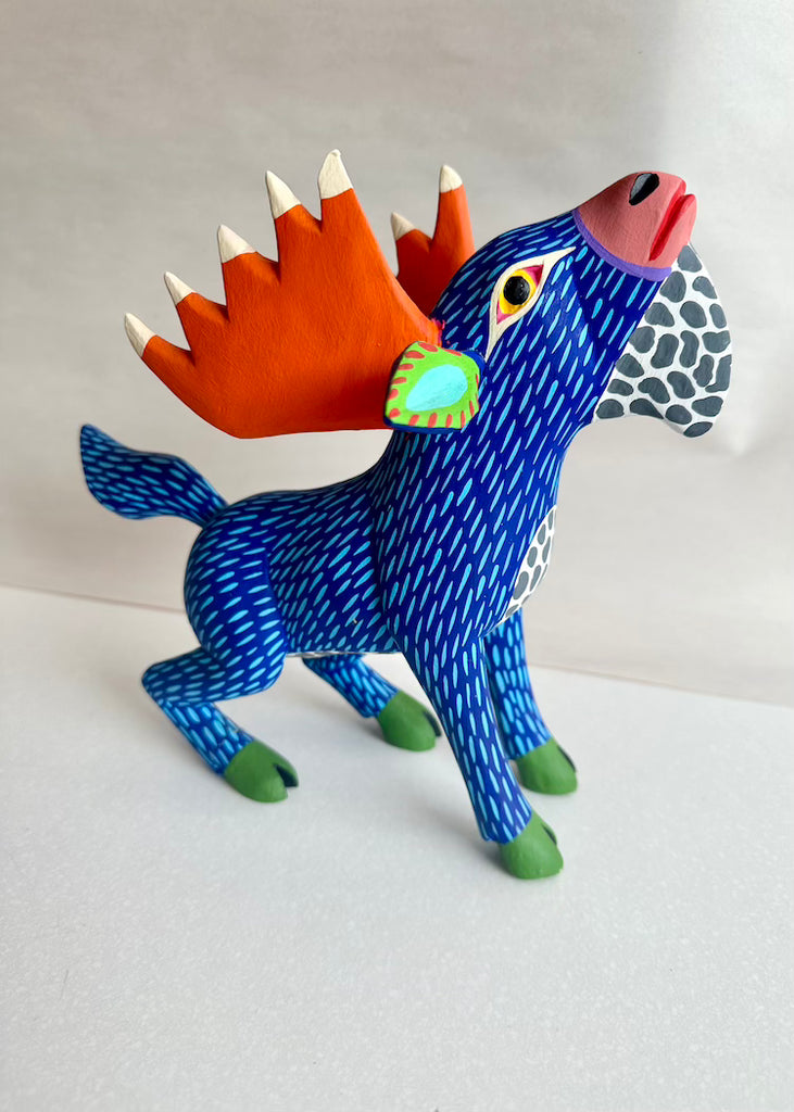 Armando Jimenez | Blue Moose - The Phoenix