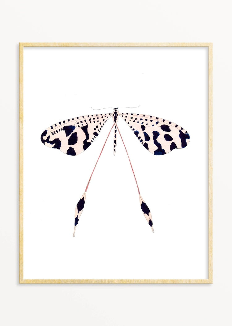 Snoogs & Wilde Art | Spoon Wing - The Phoenix